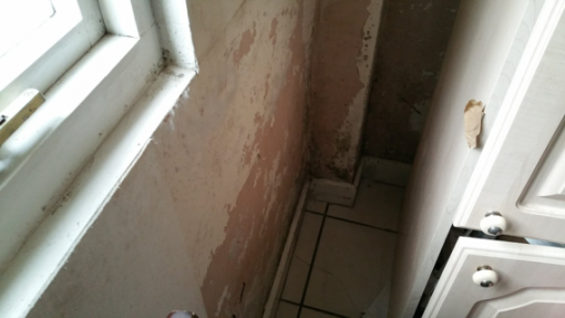 Lateral Damp – ISSE | Rising Industry Standards